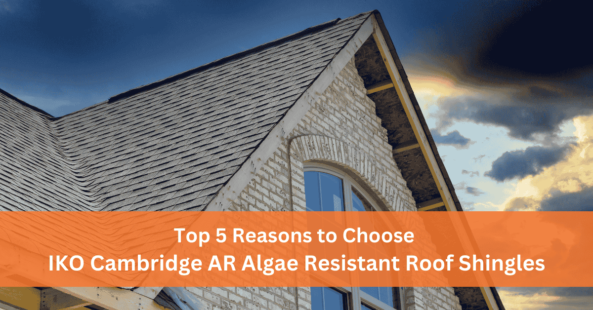 IKO Algae Resistant Roof Shingles: Top 5 Reasons to Choose